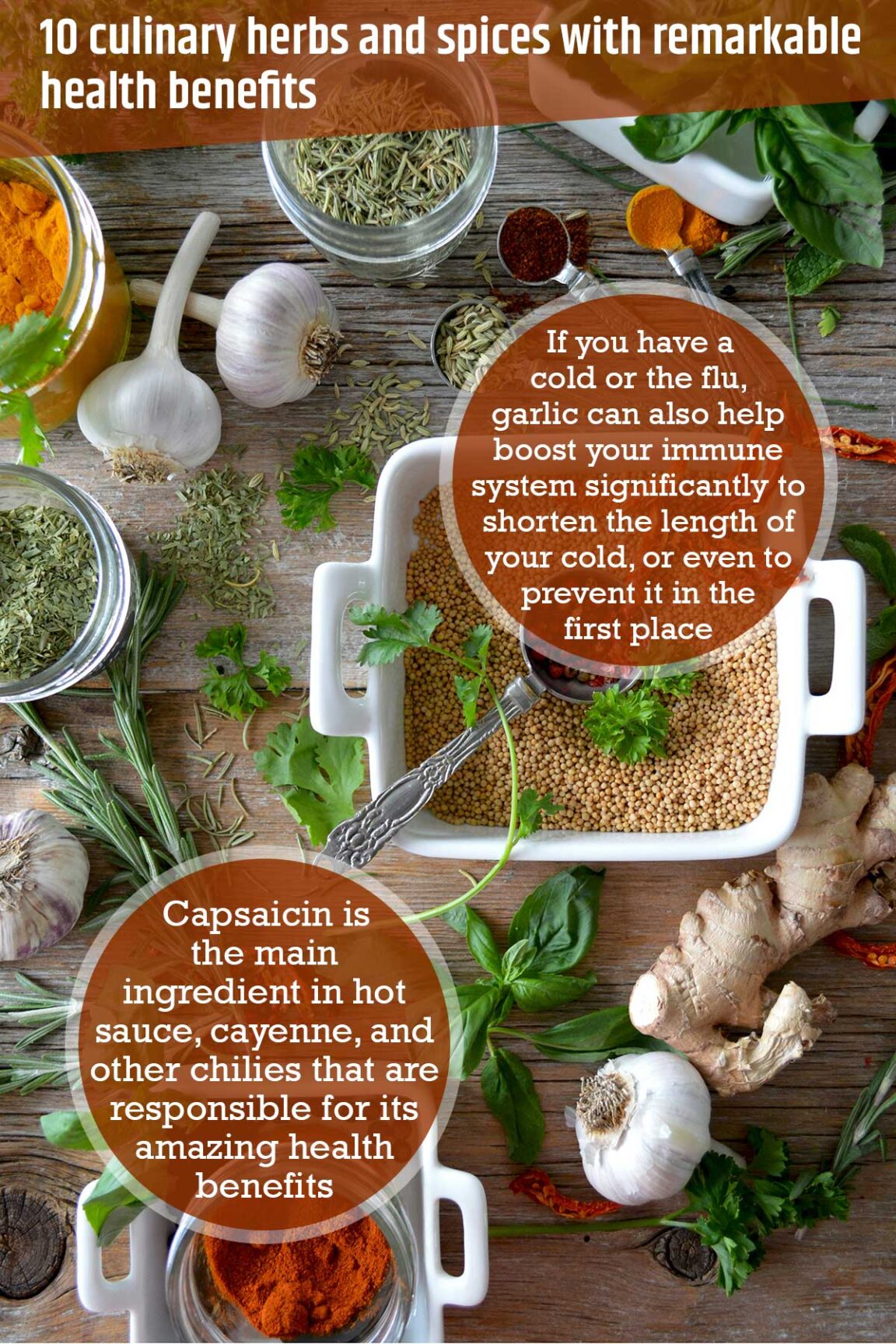 10 Culinary Herbs and Spices With Remarkable Health Benefits
