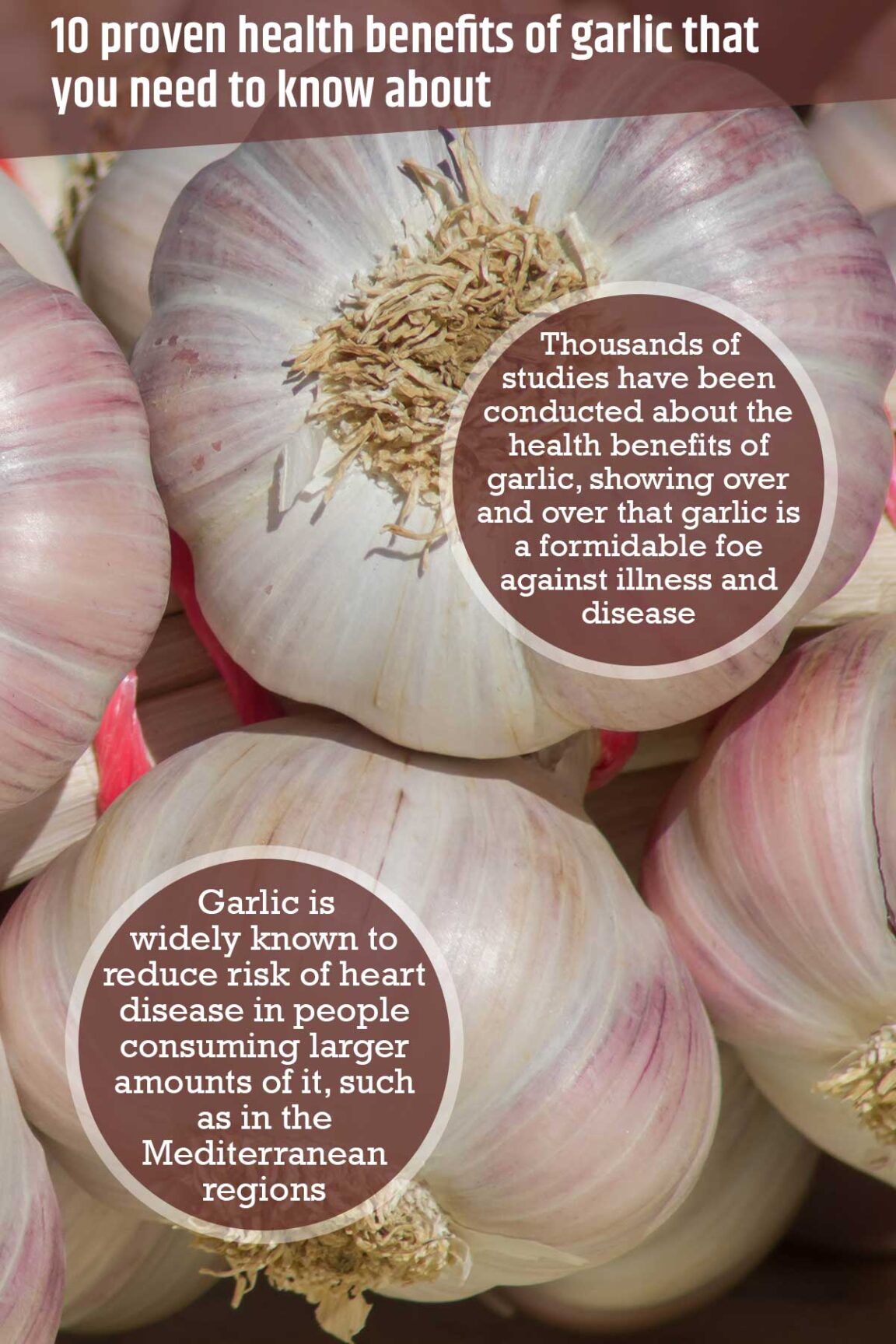 10 Proven Health Benefits of Garlic That You Need to Know About