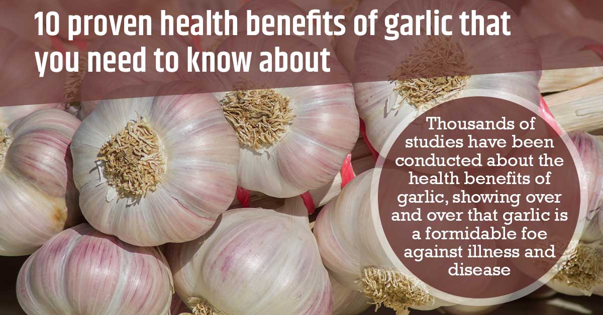 Health Benefits of Garlic: A Comprehensive Evidence Based Guide
