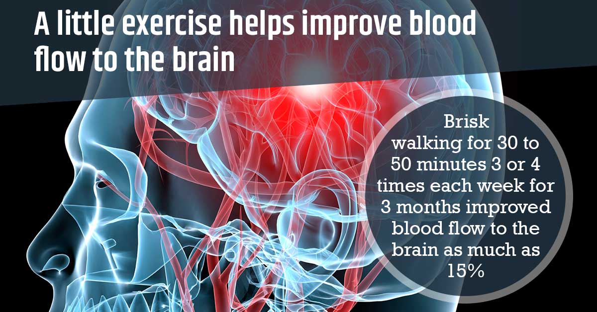A Little Exercise Helps Improve Blood Flow to the Brain