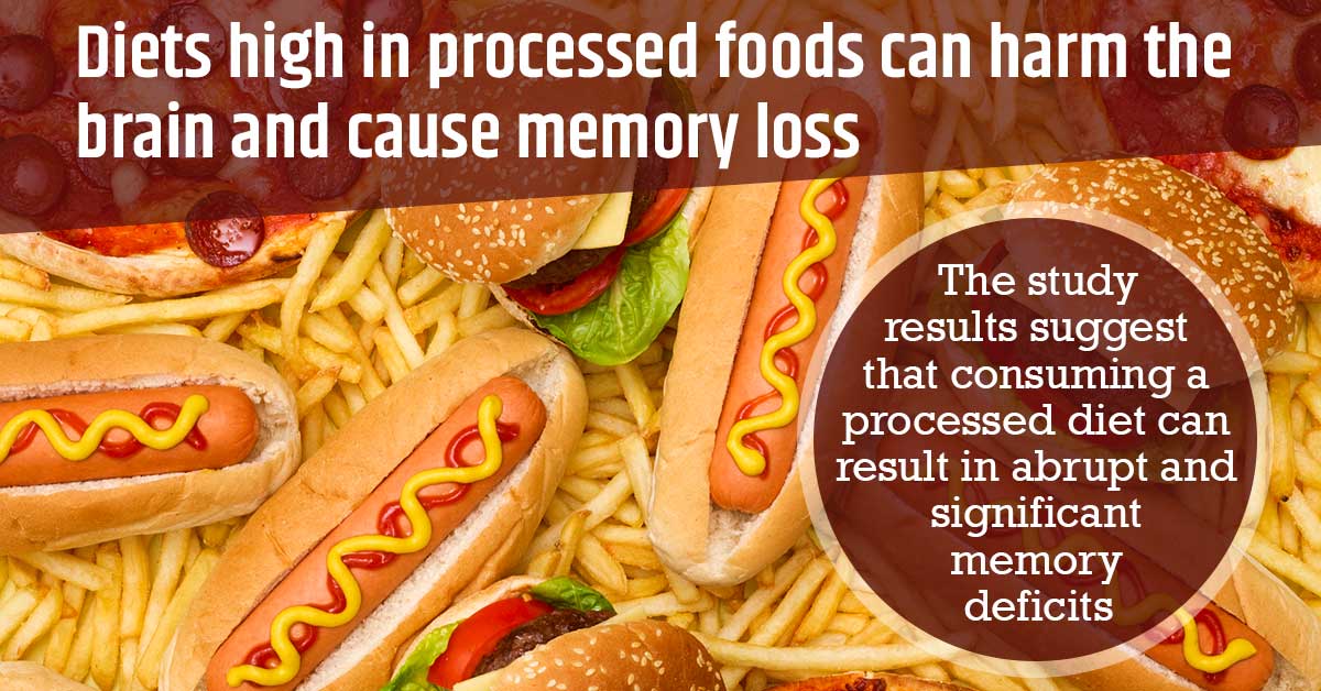 Diets High in Processed Foods Can Harm the Brain and Cause Memory Loss