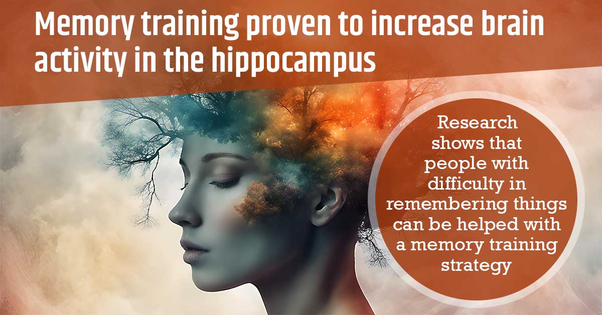 Memory Training Proven to Increase Brain Activity in the Hippocampus