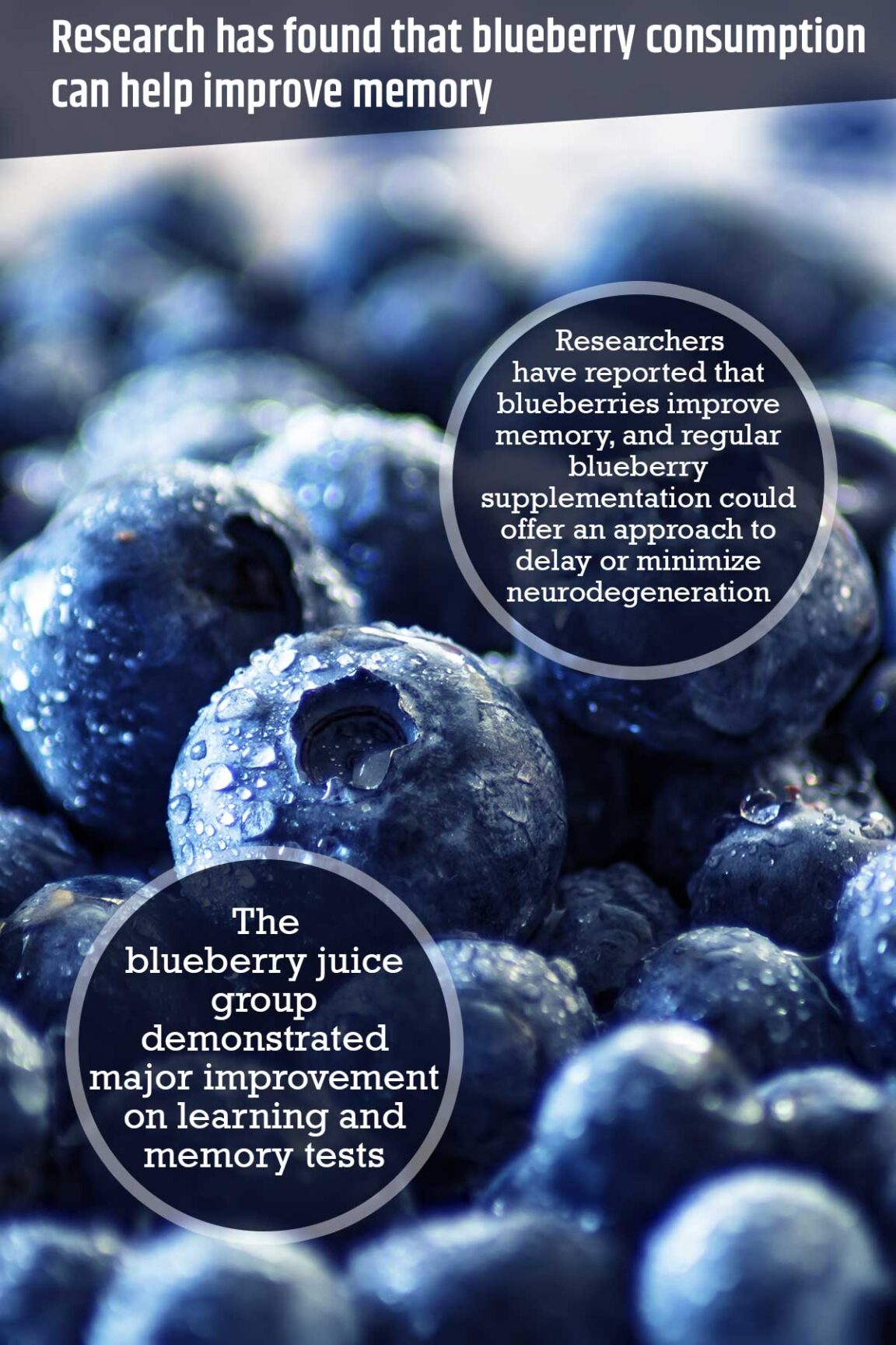 Research Has Found That Blueberry Consumption Can Help Improve Memory