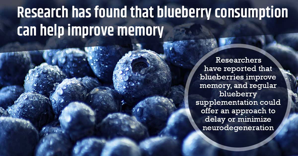Research Has Found That Blueberry Consumption Can Help Improve Memory