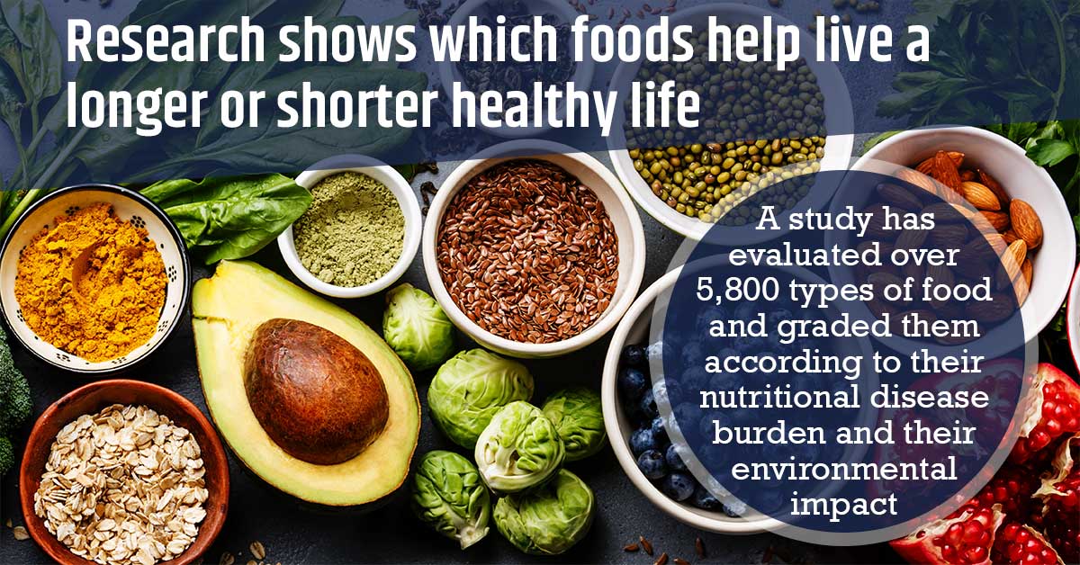 Research Shows Which Foods Help Live a Longer or Shorter Healthy Life