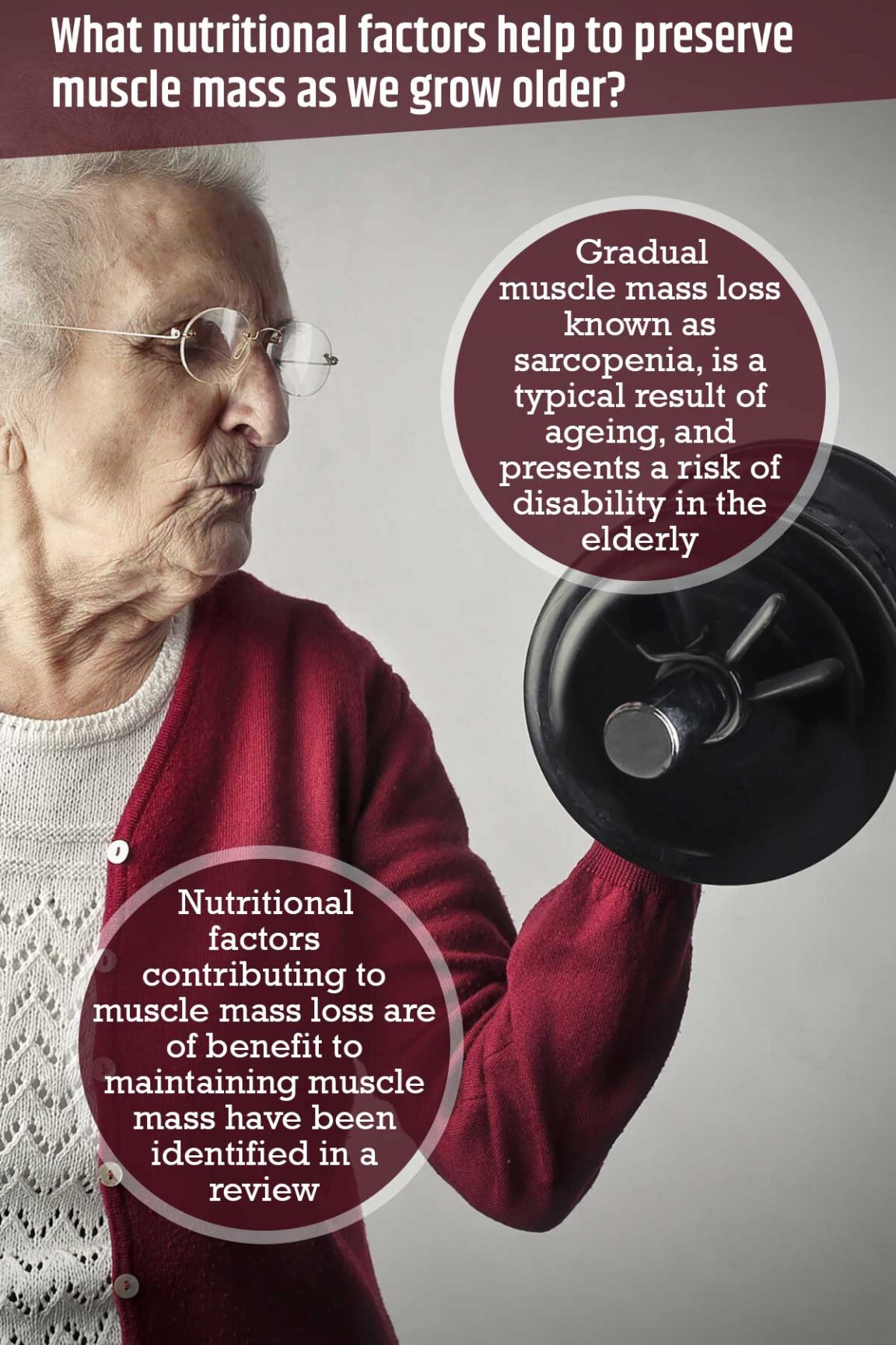 What Nutritional Factors Help to Preserve Muscle Mass as We Grow Older?