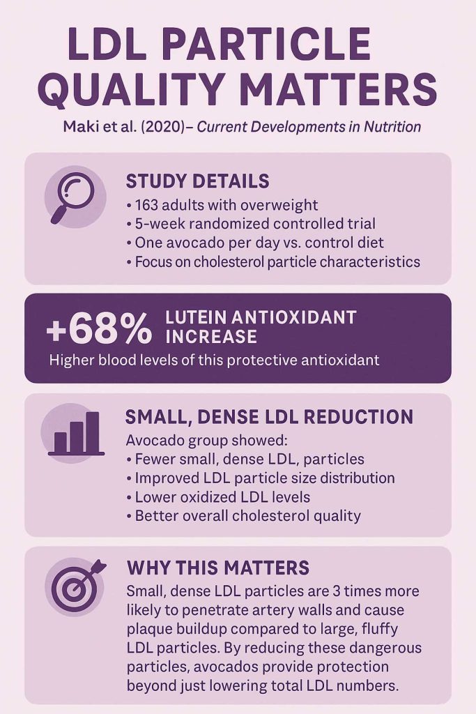 What Happens to Your LDL Cholesterol When You Eat an Avocado Every Day ...