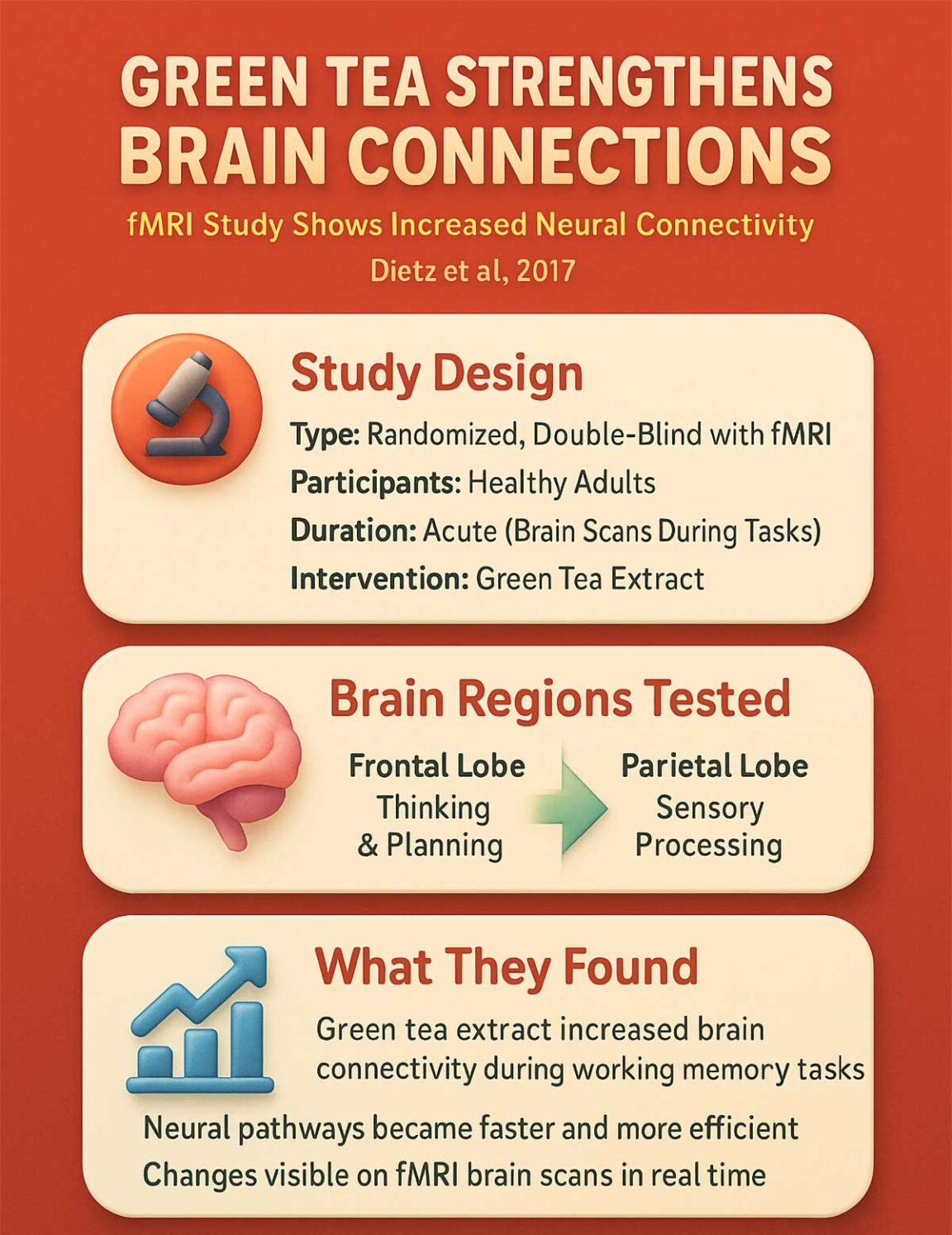 What Happens to Your Memory When You Drink Green Tea Every Day for 8–12 ...