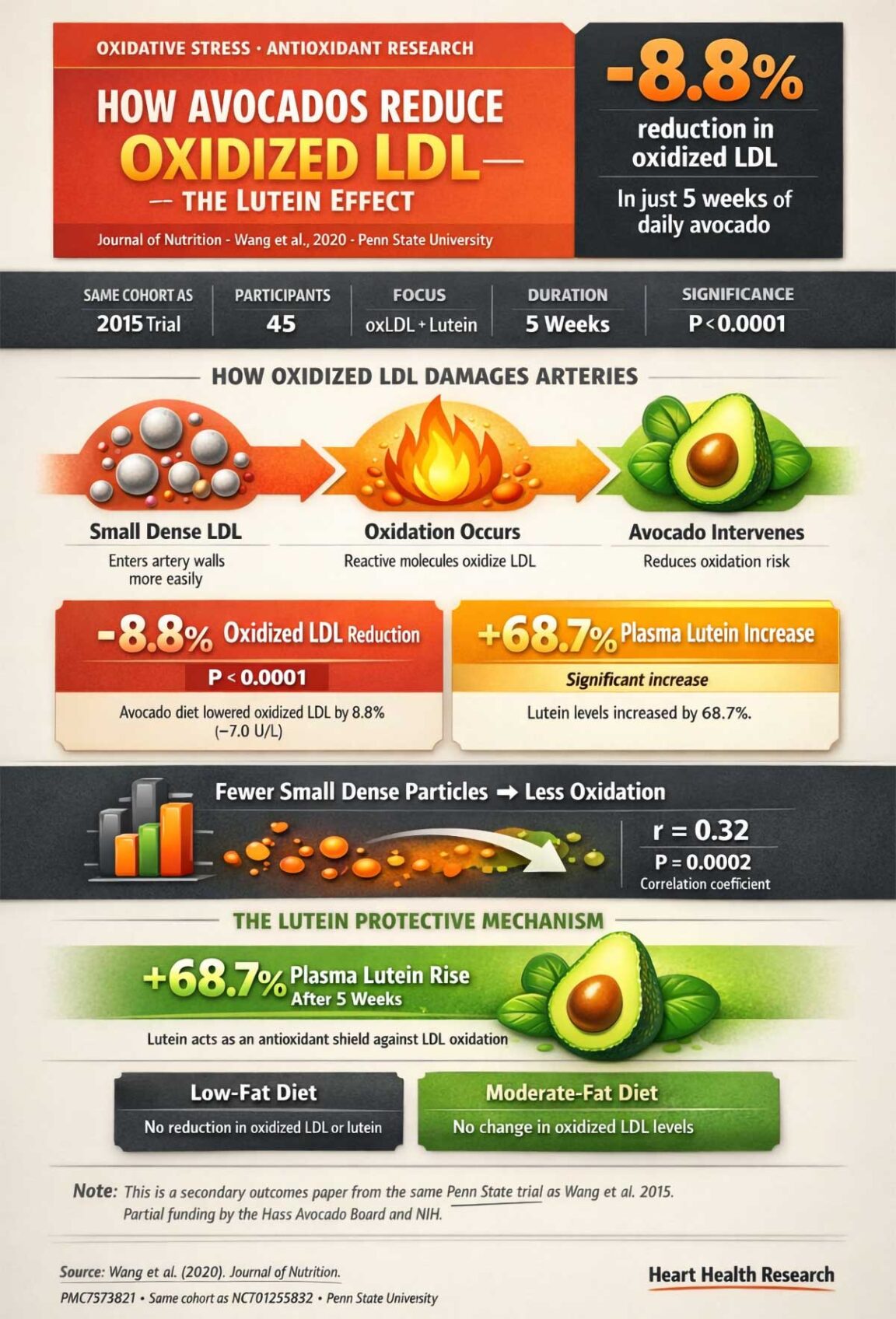 High Cholesterol? What 5 Weeks of Eating One Avocado a Day Did to LDL ...