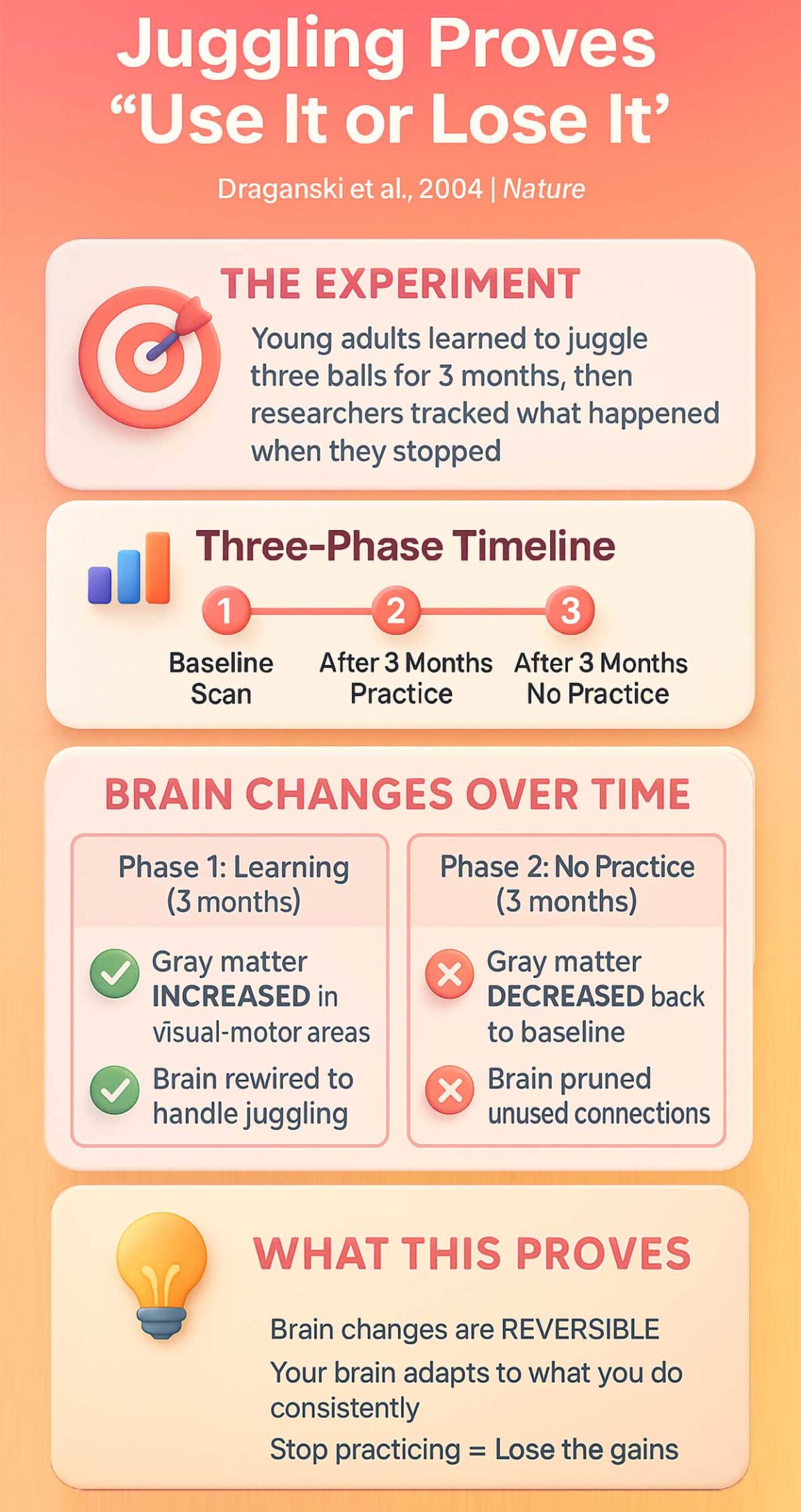 Want to Increase Neuroplasticity? Neuroscientists Reveal 9 Evidence ...