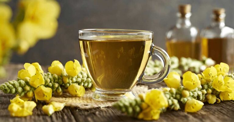 Mullein Tea: The Ultimate Guide to Benefits, Uses & Safe Preparation