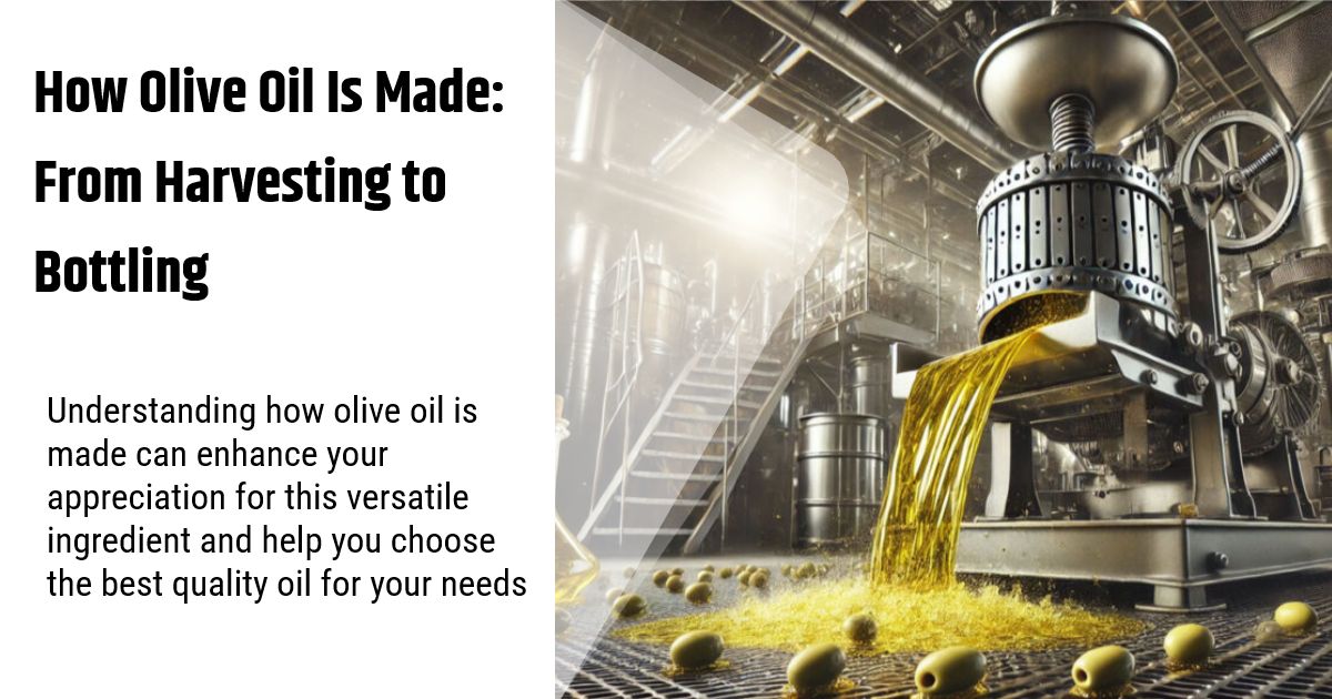 How Olive Oil Is Made: From Harvesting to Bottling