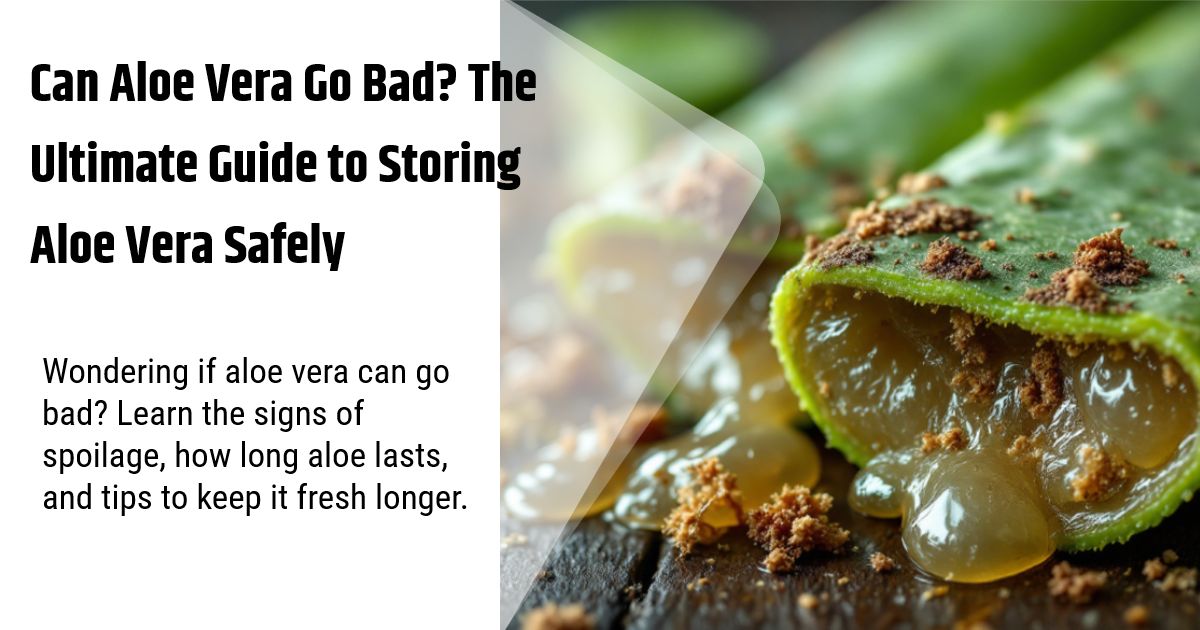 Can Aloe Vera Go Bad? The Ultimate Guide to Storing Aloe Vera Safely