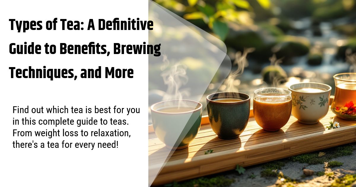 Types of Tea: A Definitive Guide to Benefits, Brewing Techniques, and More