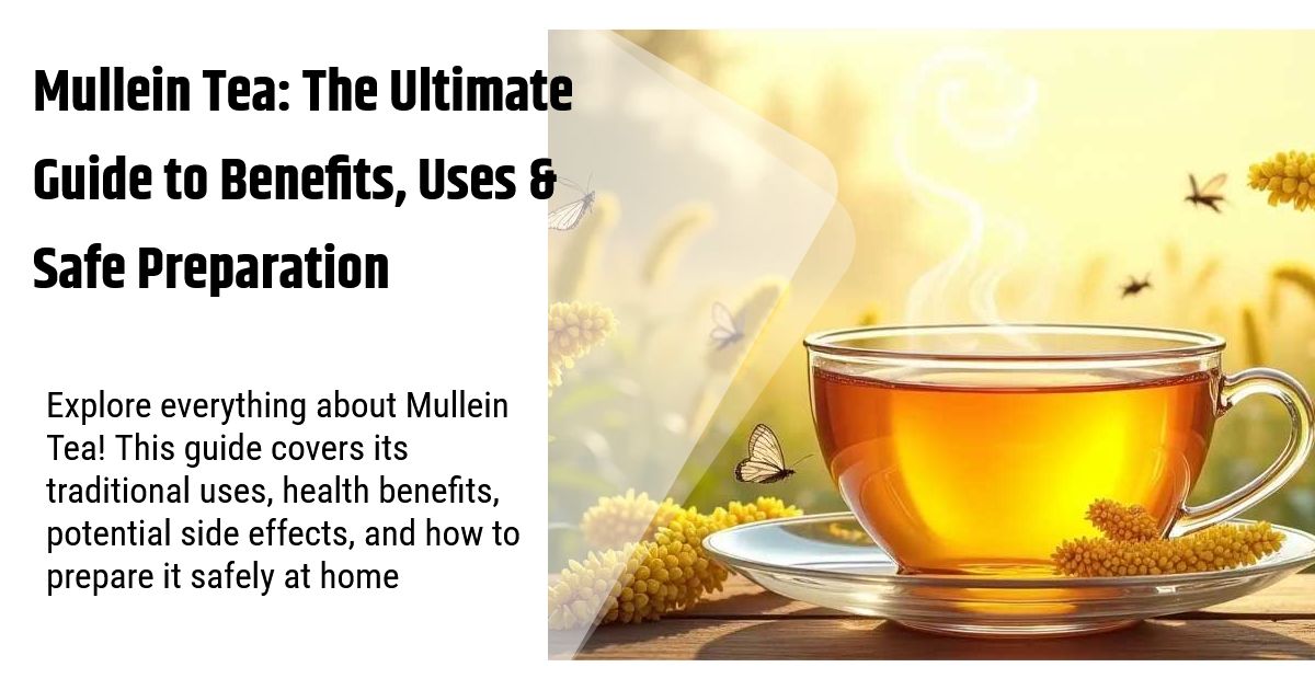 Mullein Tea: The Ultimate Guide to Benefits, Uses & Safe Preparation