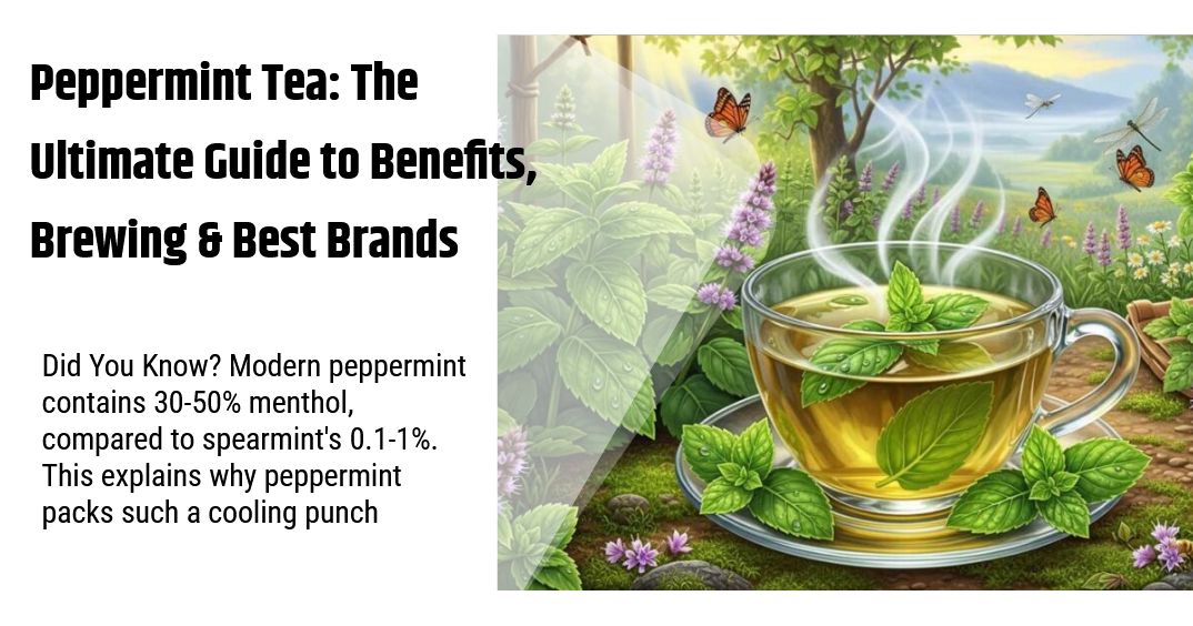 Peppermint Tea: The Ultimate Guide to Benefits, Brewing & Best Brands
