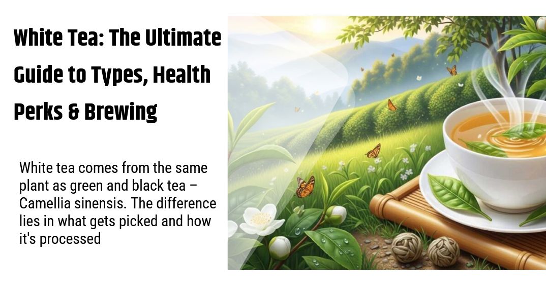 White Tea: The Ultimate Guide to Types, Health Perks & Brewing