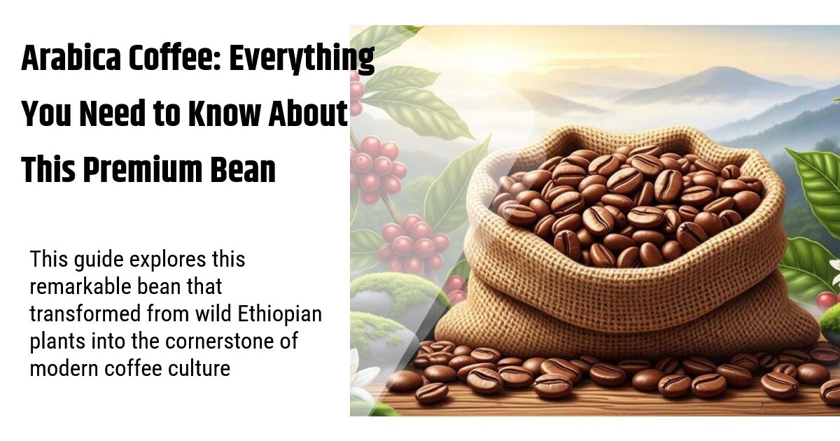 Arabica Coffee: Everything You Need to Know About This Premium Bean