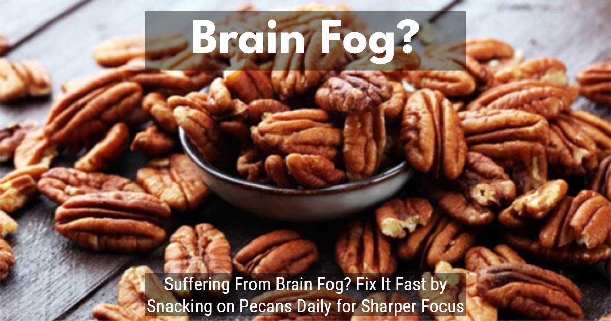 Food for Brain Fog: Snacking on Pecans Can Help Improve Focus