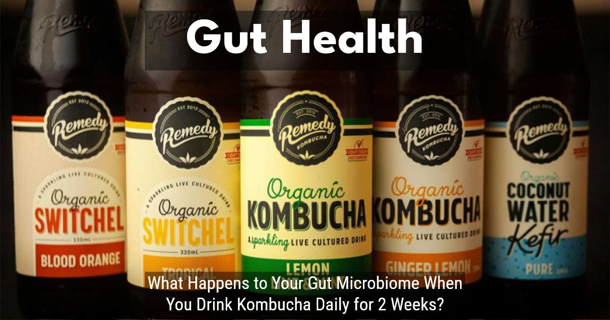 Kombucha for Gut Health: What 2 Weeks of Daily Drinking Does to Your ...