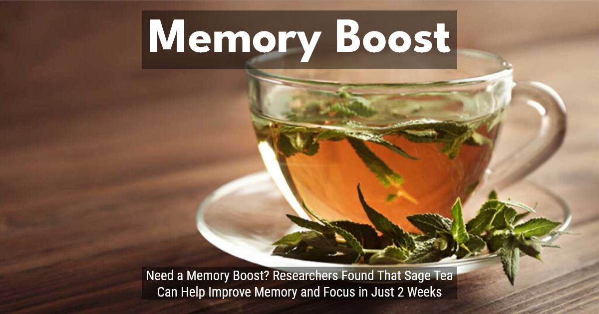 Need a Memory Boost? Researchers Found That Sage Tea Can Help Improve ...