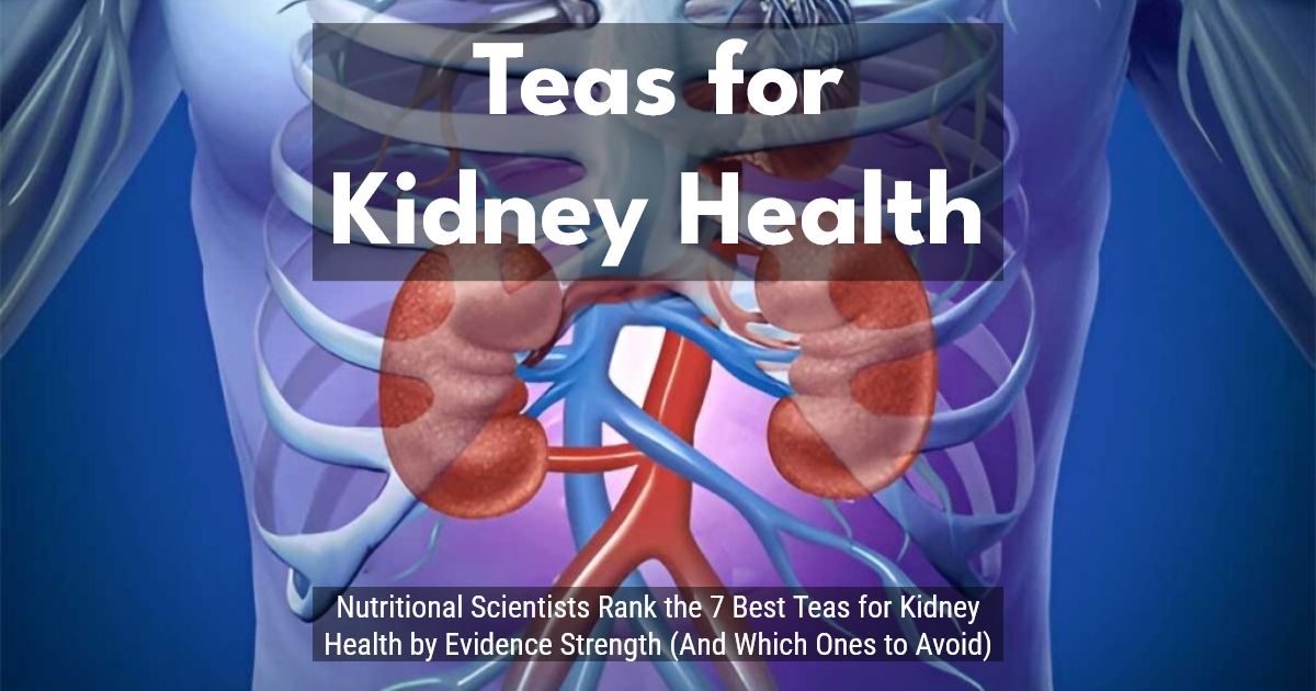 Nutritional Scientists Rank the 7 Best Teas for Kidney Health by ...