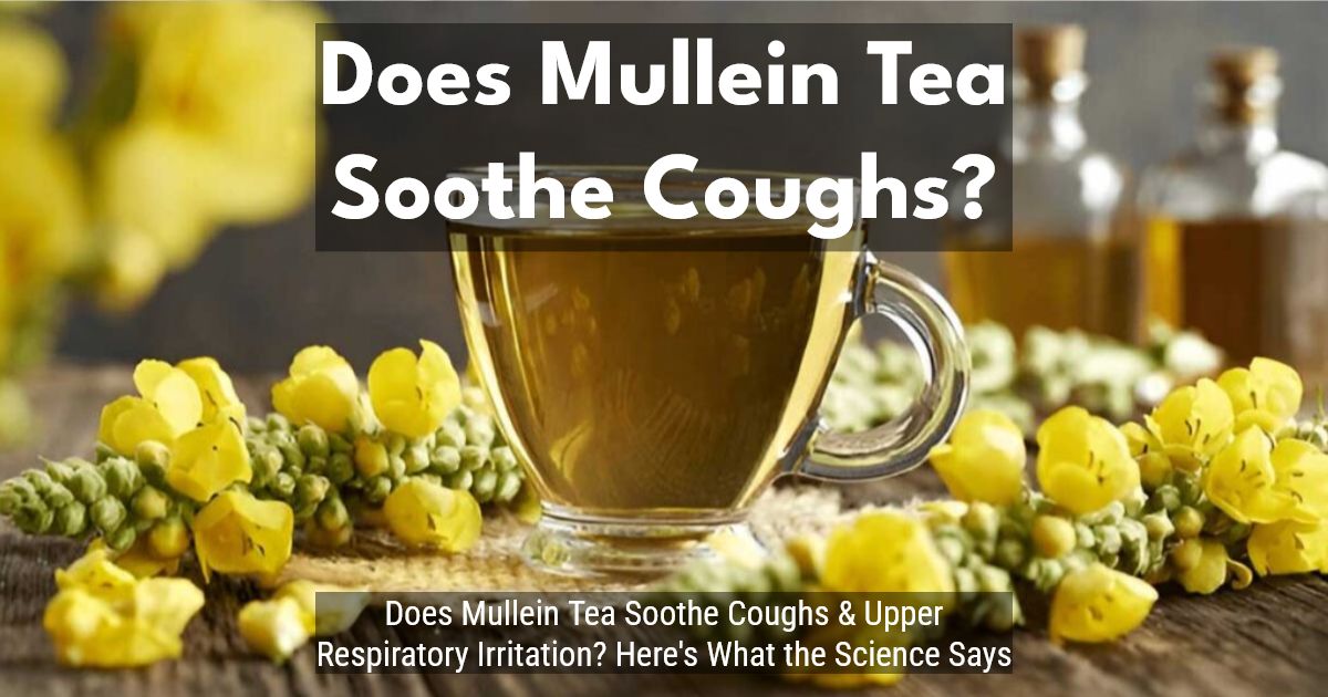 Does Mullein Tea Soothe Coughs & Upper Respiratory Irritation? Here’s ...