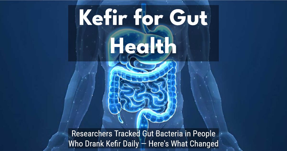 Researchers Tracked Gut Bacteria in People Who Drank Kefir Daily — Here ...